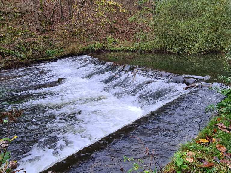 Litton Mill and Cressbrook Dale loop — Peak District National Park ...