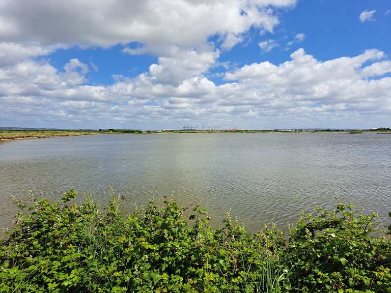 RSPB Cliffe Pools Nature Reserve Routes for Walking and Hiking | Komoot