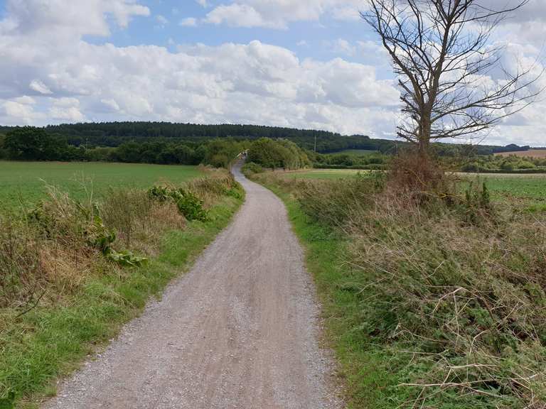 Crab + Winkle Route – Crab and Winkle Way loop from Wye | ride | Komoot