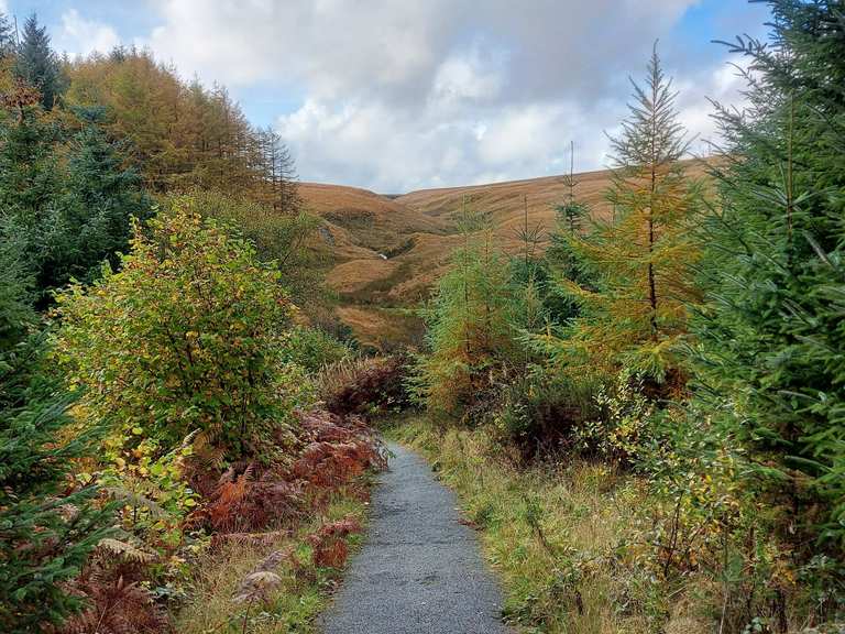 Talybont Stausee nach Merthyr Tydfil 'Taff Trail' NCR 8: Radtouren und ...