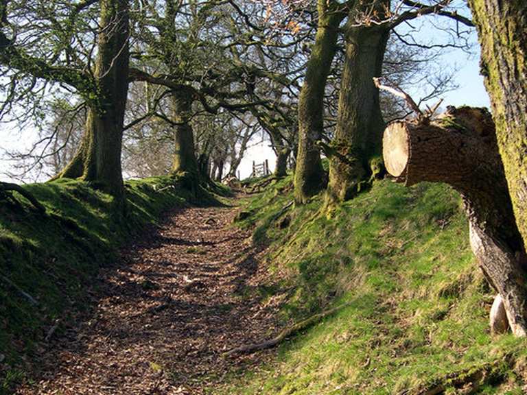 Sarn Helen and Twyn y Gaer loop — The Brecon Beacons National Park ...