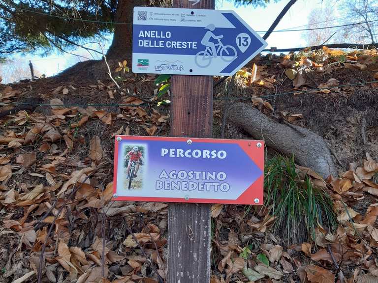 Bivio per Rifugio Vaccera: Mountainbike-Touren und -Trails | komoot