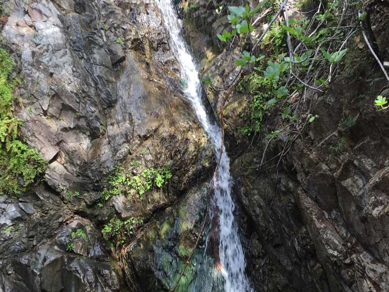 Holy Jim Falls: Wanderungen und Rundwege | komoot