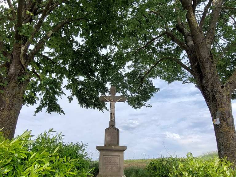 eurobike liz - Tag 1 - Rennradtour | Rennrad-Tour | Komoot