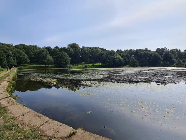 Millers Pond, Hardwick Park – Hardwick Inn loop from Rowthorne | hike ...