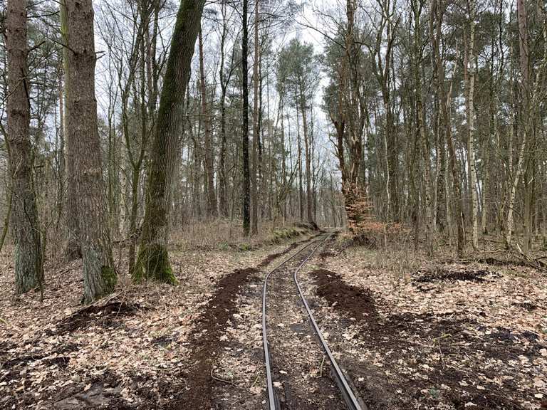 Torfabbau Stellingsmoor: Wanderungen und Rundwege | komoot