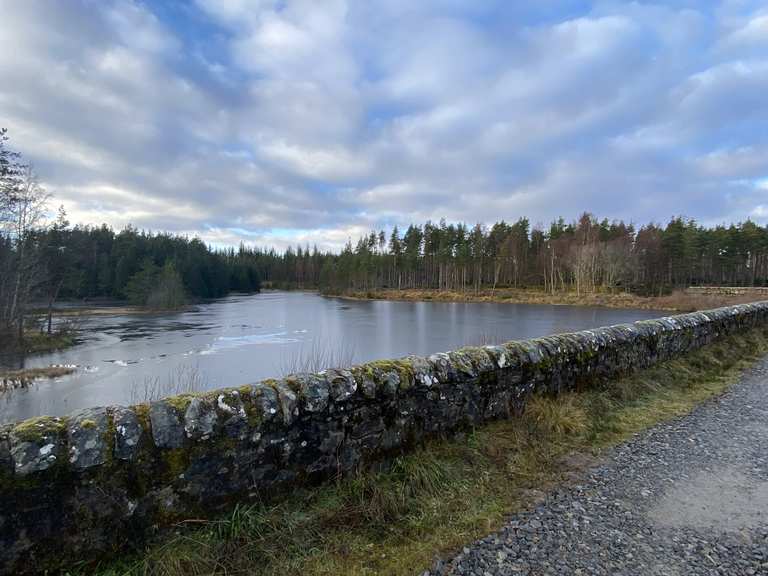 The Black Wood of Rannoch loop from Carie — Tay Forest Park | run | Komoot