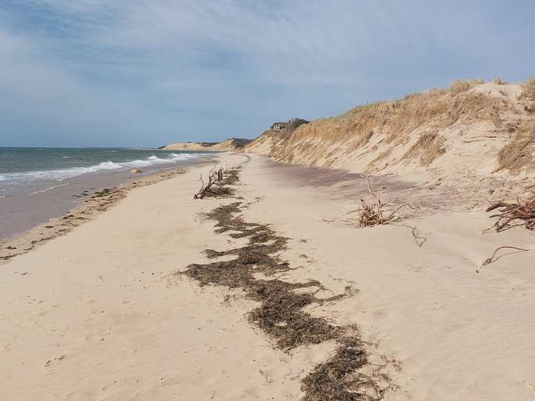 Great Island Trail loop via Gut Beach — Cape Cod National Seashore ...