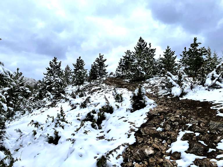 Great view – Ćurevac loop from Tepca | hike | Komoot