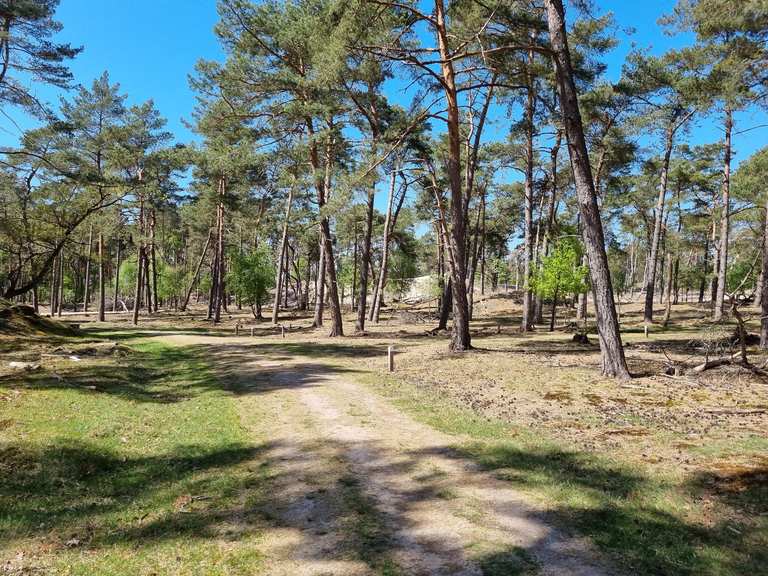 Uitgestrekte zandduinen van Bornia wandelroutes en hikes | Komoot