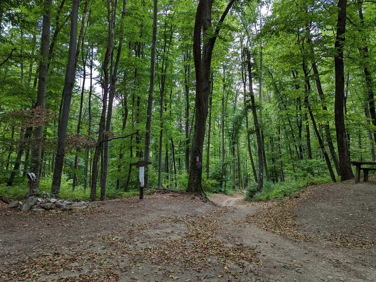 Carrefour Katonasirok et tombes de guerre – Randonnées & Comment s'y ...