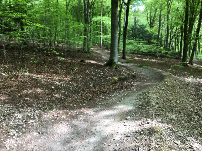 QECP blue climbing trail loop from Petersfield | mountain bike ride ...