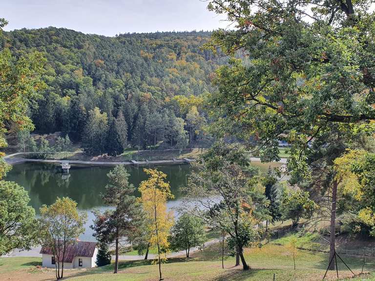 Blick auf Stausee Forchtenstein: Mountainbike-Touren und -Trails | komoot