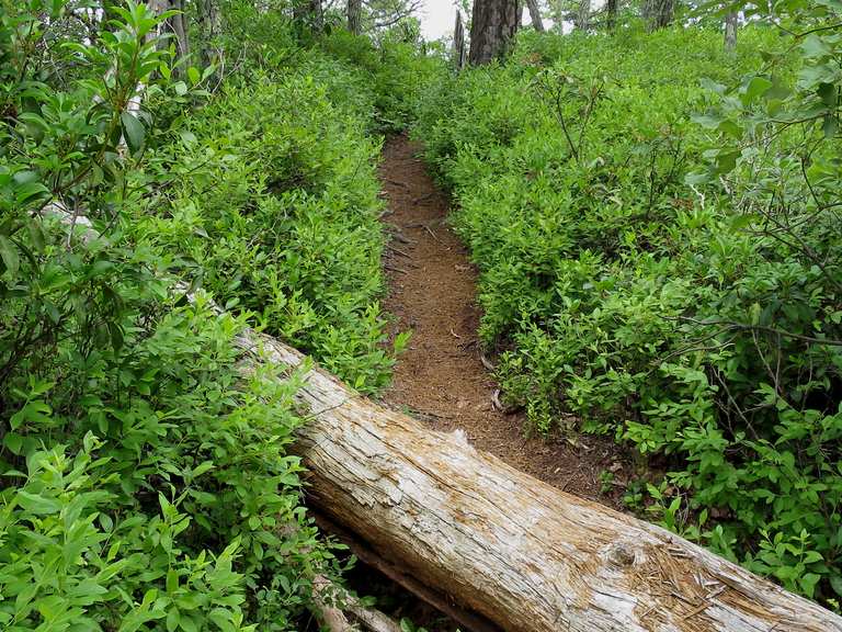 Boucle High Peter's Kill Trail – Réserve du parc d'État de Minnewaska ...