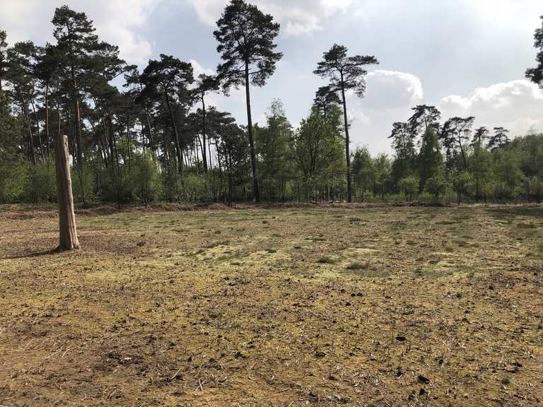 Droge heide - herstelgebied wandelroutes en hikes | Komoot