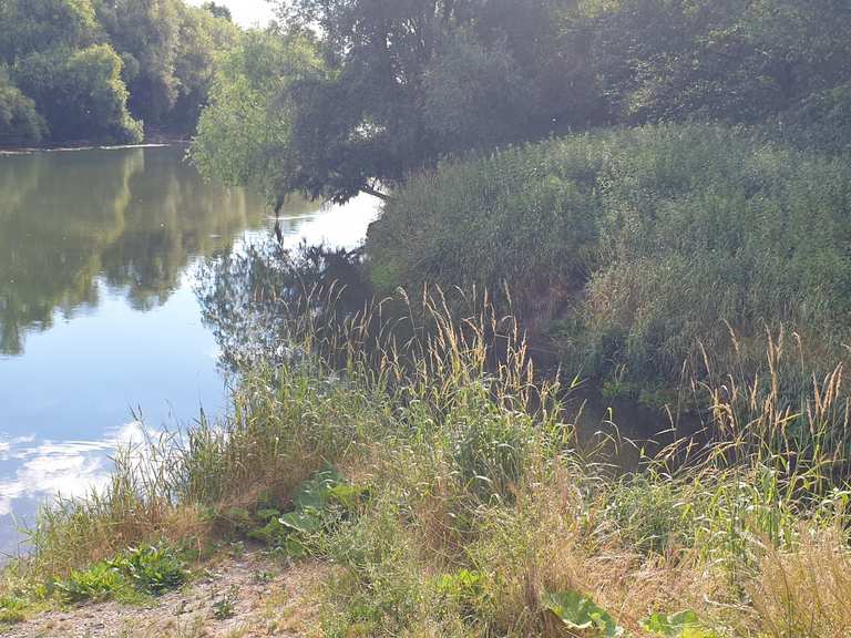 Stockstädter Brücke – Aue Itinerario ad anello da Stockstadt am Rhein ...