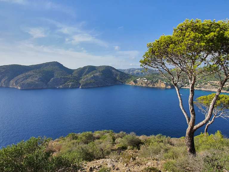 Aussichtspunkt Camp de Mar – Caló d‘en Monjo Runde von Urbanització de ...