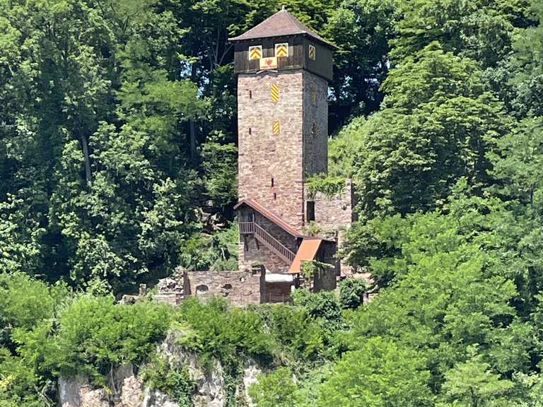 Der Neckar bei Binau – Am Neckar entlang Loop from Obrigheim | bike ...