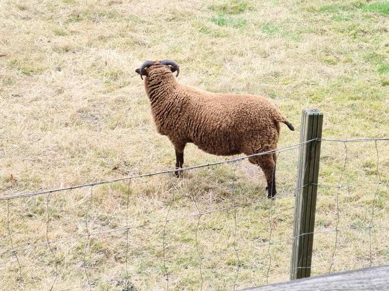 The kitchen garden of Jagtlust Routes for Walking and Hiking | Komoot