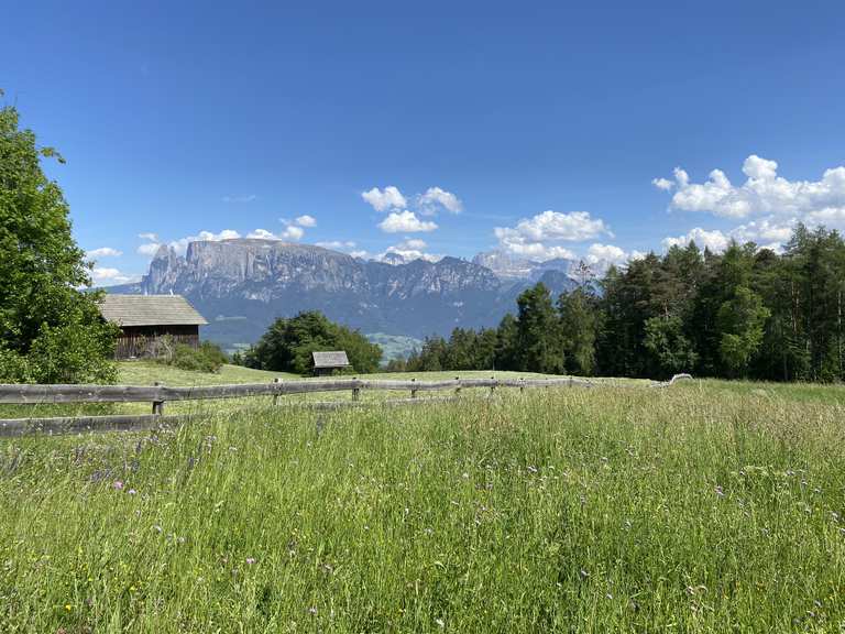 Bienenrundwanderung am Ritten | Wanderung | Komoot