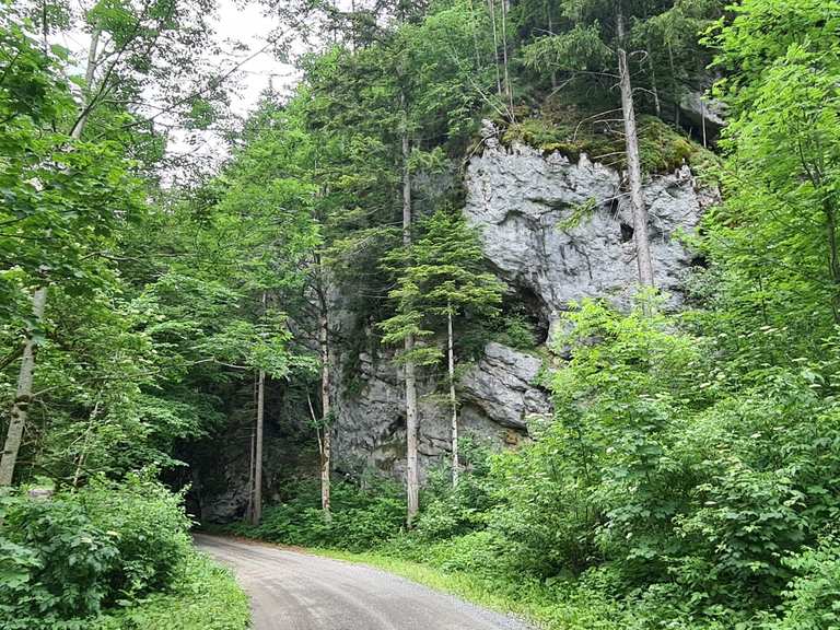 Luscha-Alm: Mountainbike-Touren und -Trails | komoot