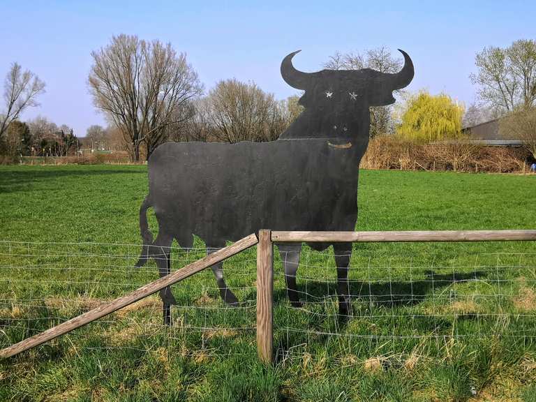 Bulle mit Sternchen-Augen : Radtouren und Radwege | komoot