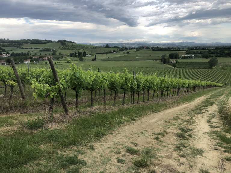 Boucle Bertinoro – Ascension Bertinoro au départ de Cesena | Tour à vélo | Komoot