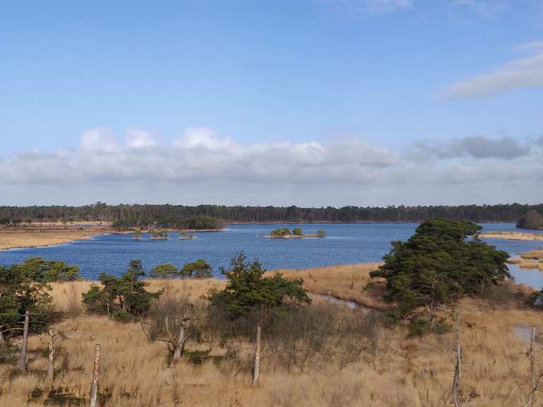 Uitkijktoren De Stapper wandelroutes en hikes | Komoot
