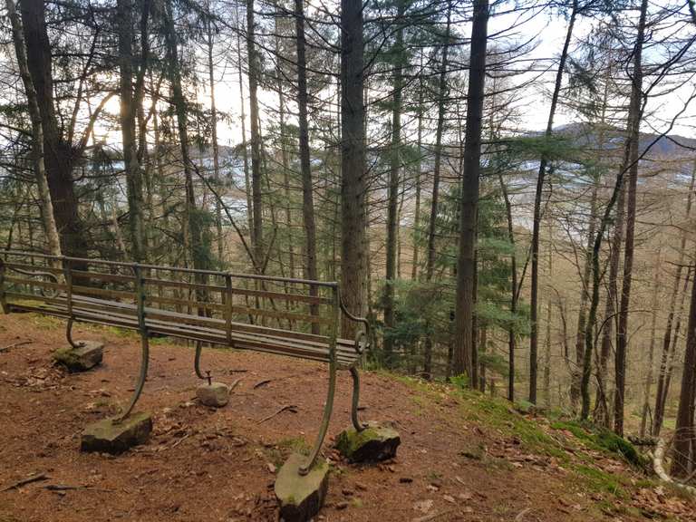 Passeio de Lady Mary em loop de Crieff | corrida | komoot