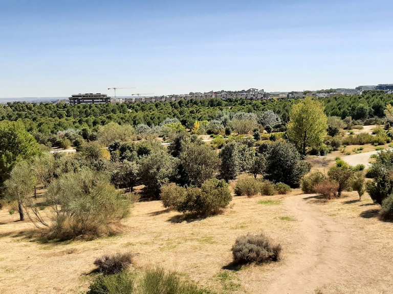 Parque Forestal de Valdebebas - Felipe VI: Rutas MTB | Komoot