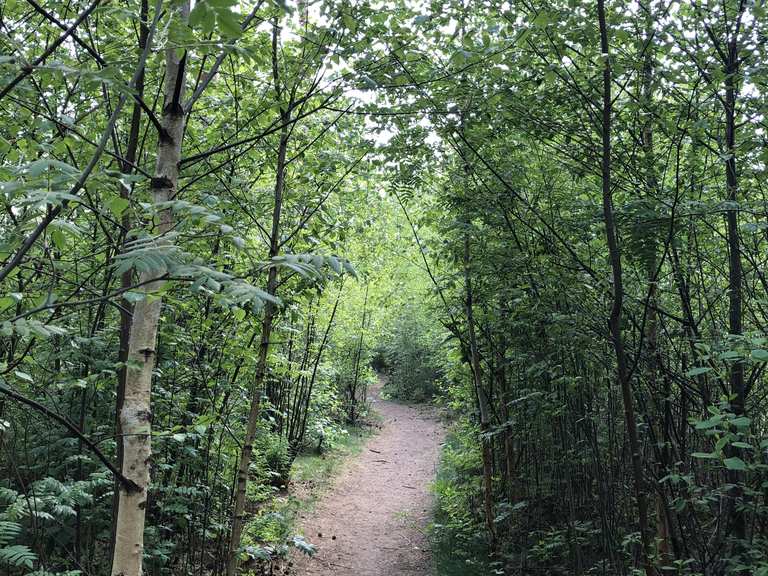 Droge heide - herstelgebied wandelroutes en hikes | Komoot