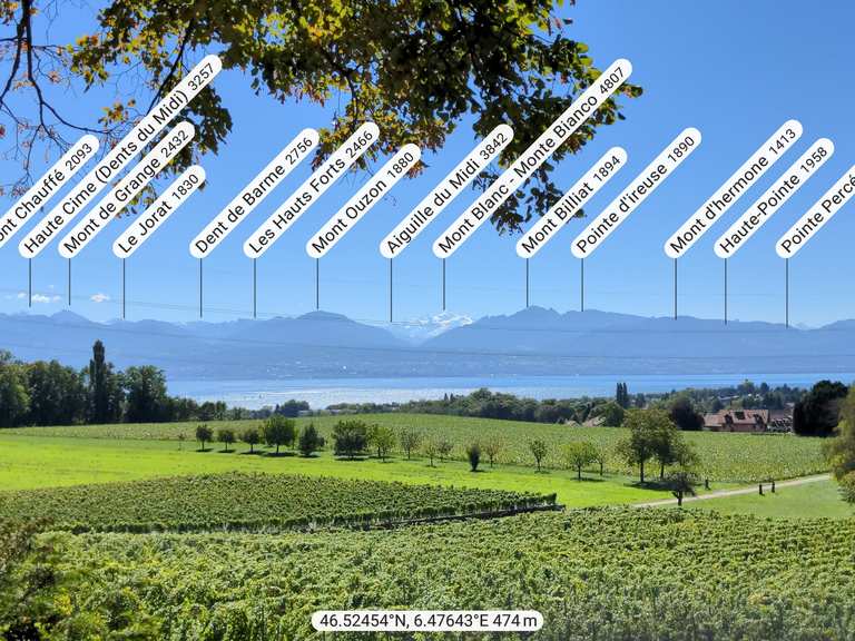 Château Vufflens – Domaine de la Balle Runde von Morges | Wanderung ...