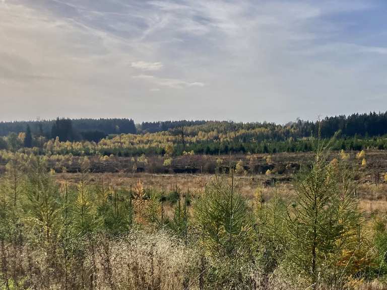 Fagne wallonne - Itinéraires vélo et carte | Komoot