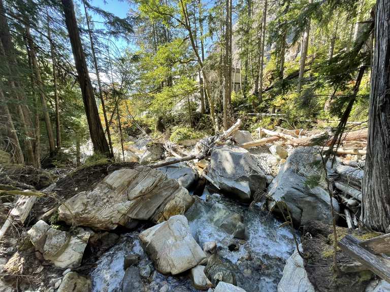 Trail of the Cedars Nature Walk & Gorge Powerhouse – North Cascades ...