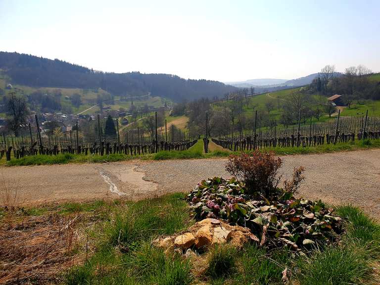 Tolle Aussicht auf Feuerbach Routes for Walking and Hiking | Komoot