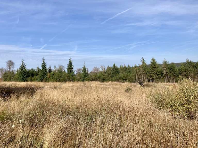 Fagne wallonne - Itinéraires vélo et carte | Komoot