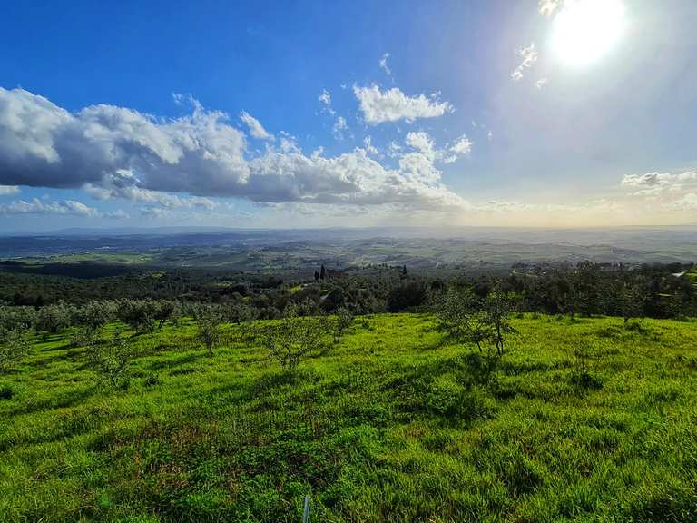 Salita del Pinone Itinéraires vélo et carte | Komoot