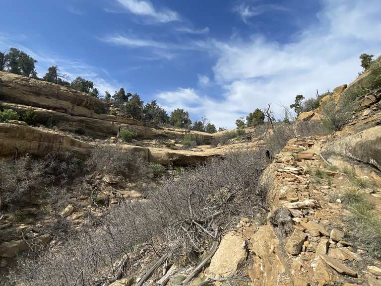 Spruce Canyon Trail loop — Mesa Verde National Park | Wanderung | Komoot