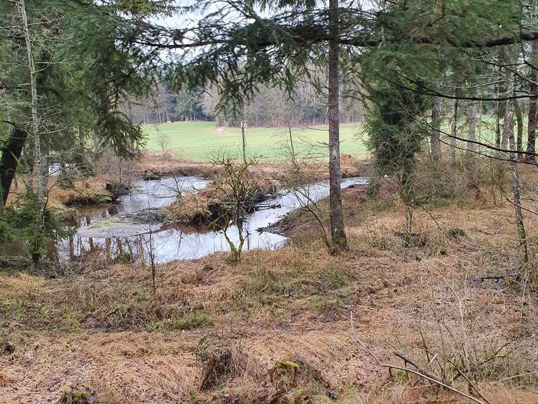 An der Murn: Wanderungen und Rundwege | komoot