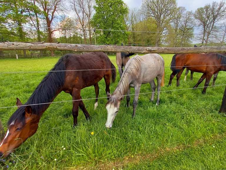 Gut Berl : Radtouren und Radwege | komoot