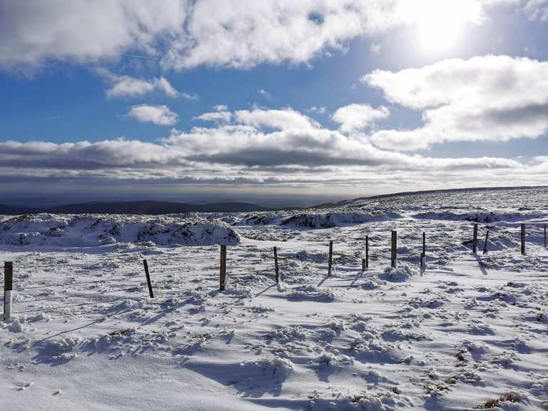 The Cheviot Summit Routes for Walking and Hiking | Komoot
