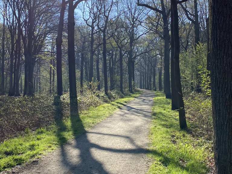 Het Peerdsbos wandelroutes en hikes | Komoot