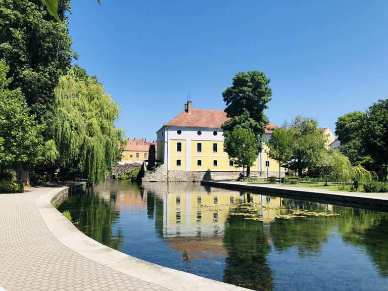 Malom Tó: Wanderungen und Rundwege | komoot