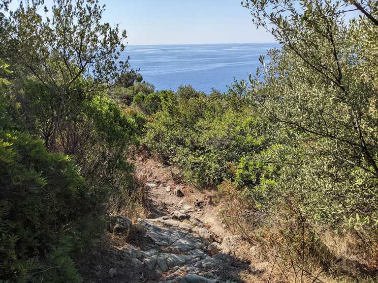 Chemin vers la plage de Grigione: Wanderungen und Rundwege | komoot