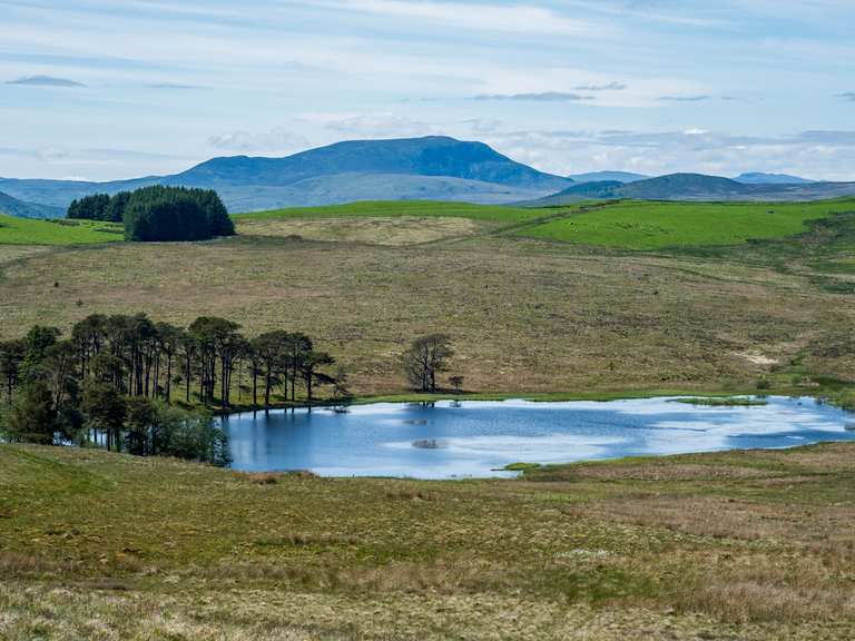 Llyn Tegid / Bala Lake & Moel y Garnedd from Bala — Eryri / Snowdonia ...