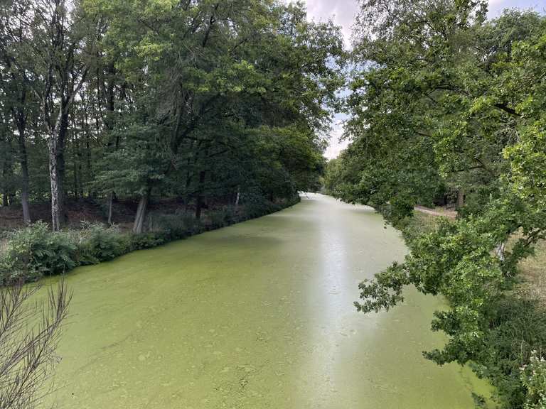 Mooi fietspad langs het water – Smal fietspad langs het kanaal ...