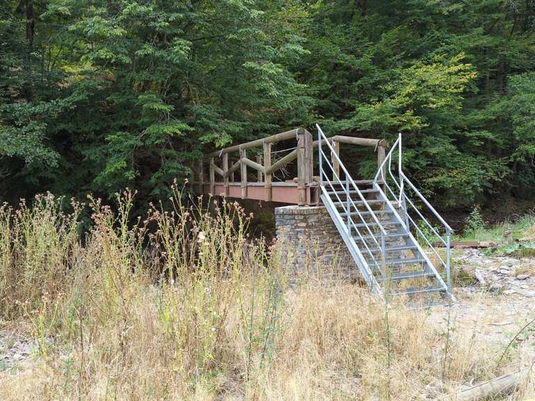 Brücke: Mountainbike-Touren und -Trails | komoot