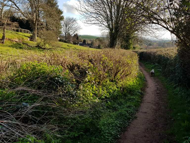 Stowey Castle Routes for Walking and Hiking | Komoot