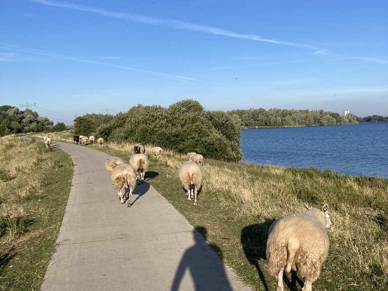 Diemer Vijfhoek: Rennradfahren und Rennradtouren | komoot