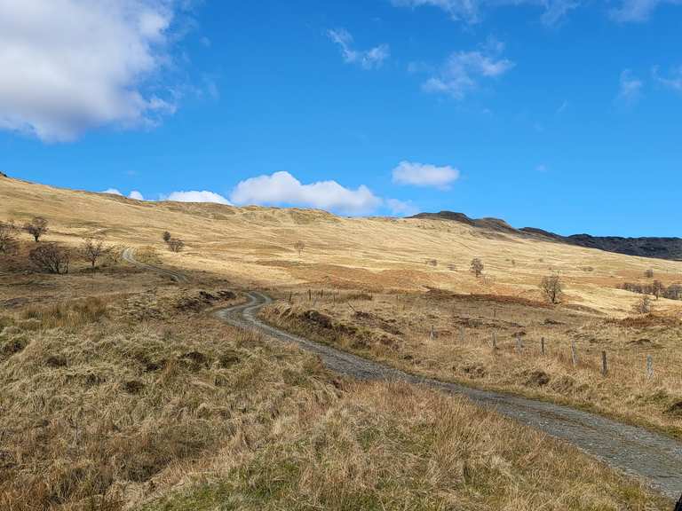 Glen Finglas to Meall Cala loop | mountain bike ride | Komoot